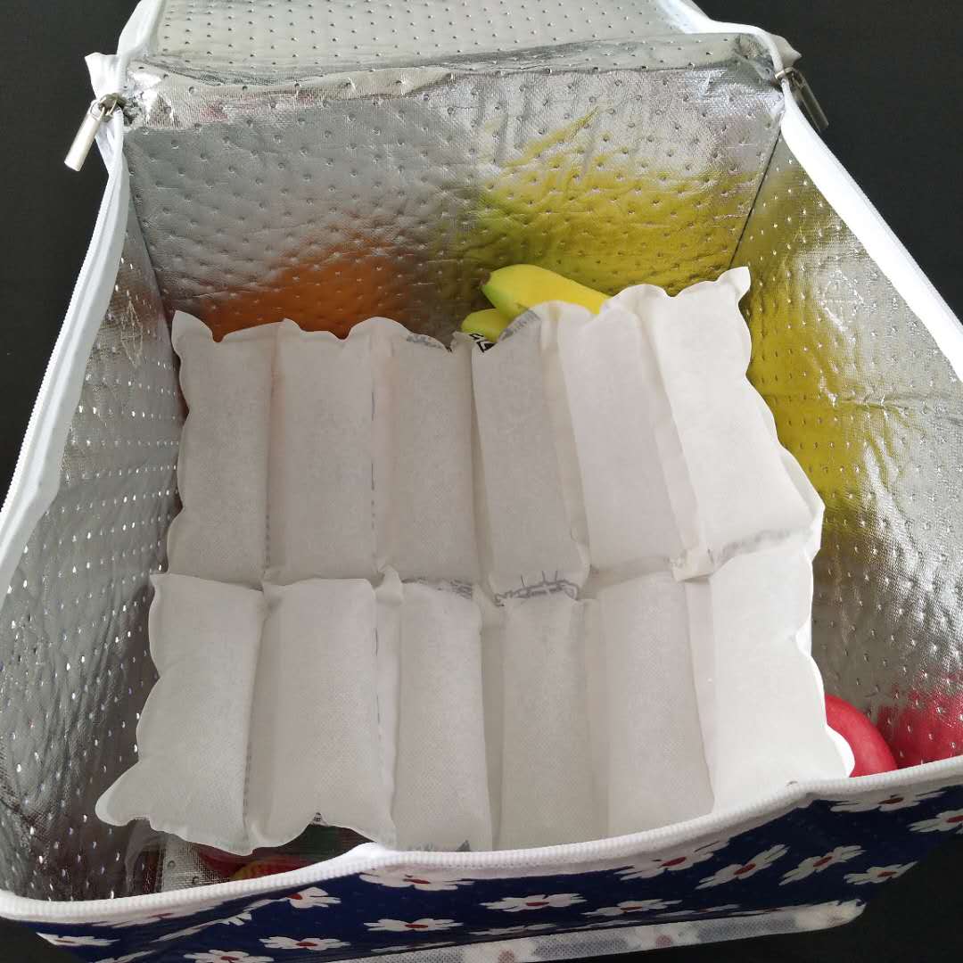 Choosing the Best Dry Ice Pack for Shipping: A Professional Guide - tempk