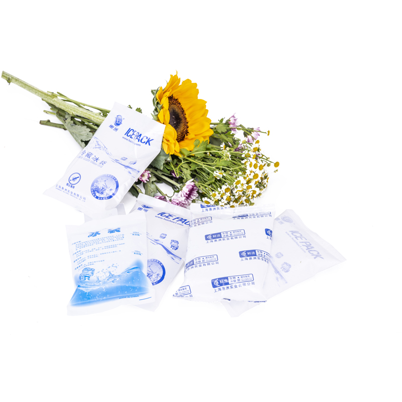 Uncover the Best Shipping Ice Packs Near You: Your Complete Guide - tempk