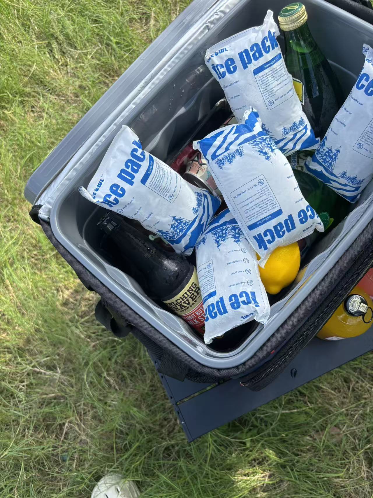 Pacotes de gelo seco com bolsa térmica: Otimize o transporte da cadeia ...