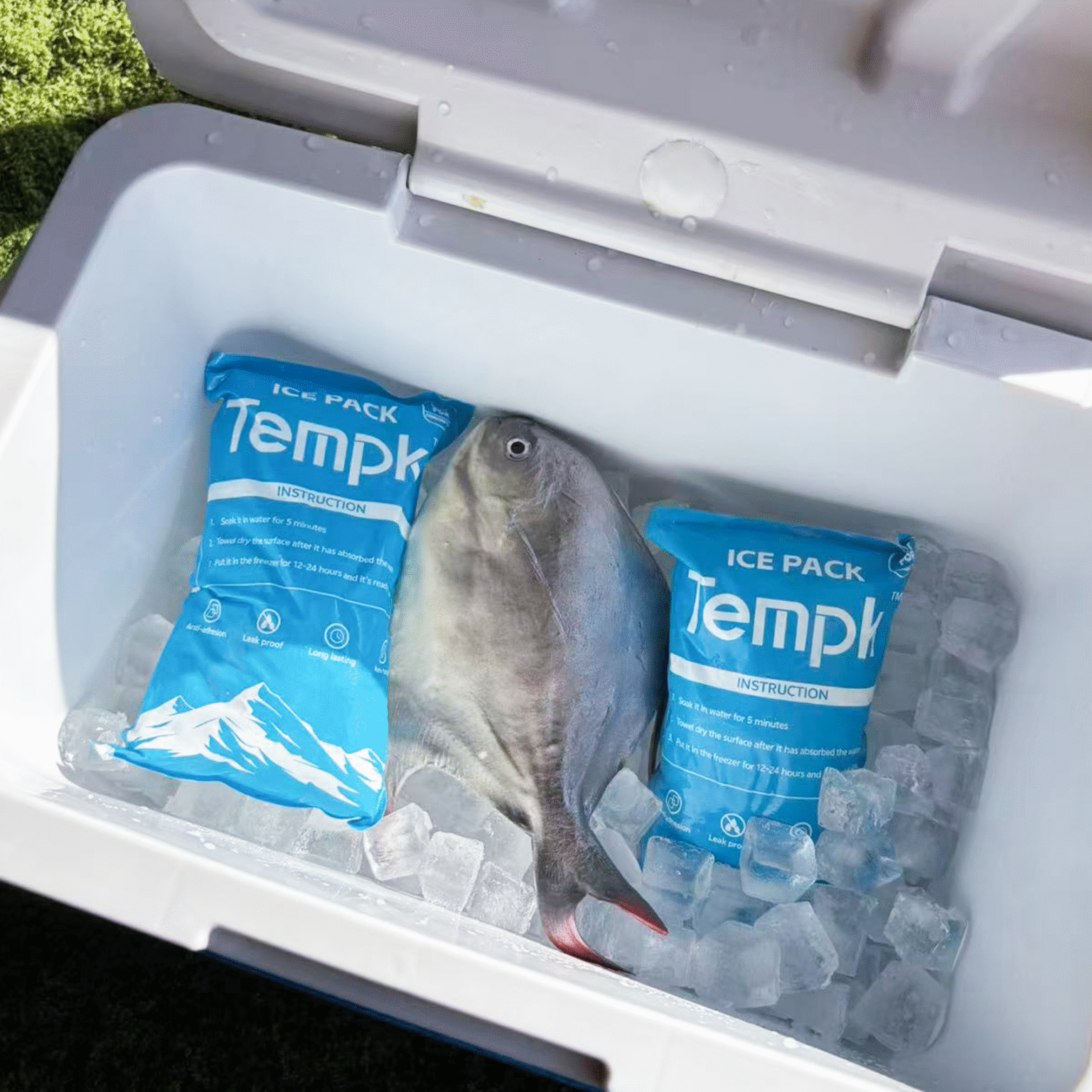 Dry Ice Supplier vs Ice Pack: 2025 Buyer’s Guide - tempk