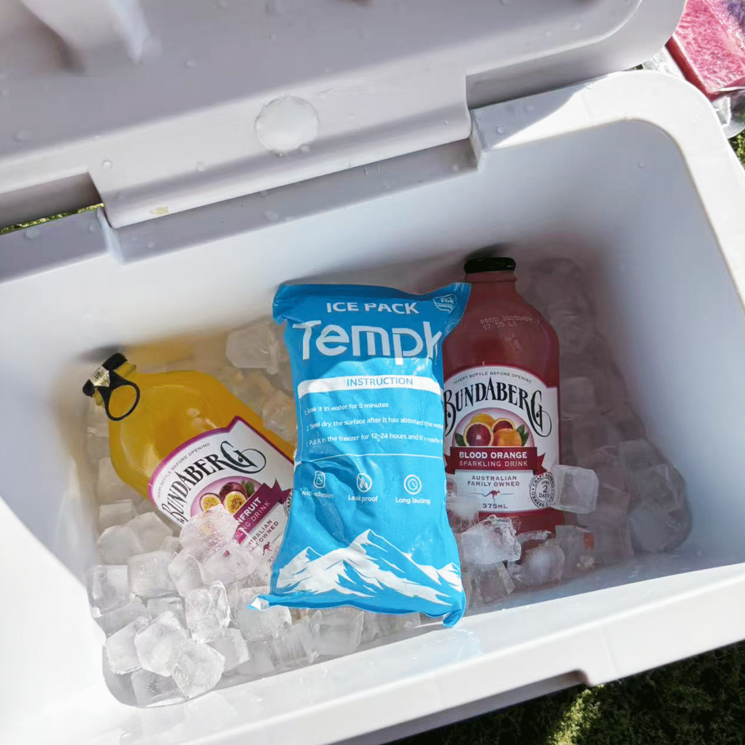 Pack of 6 Dry Ice Packs: When Should You Use Them? - tempk