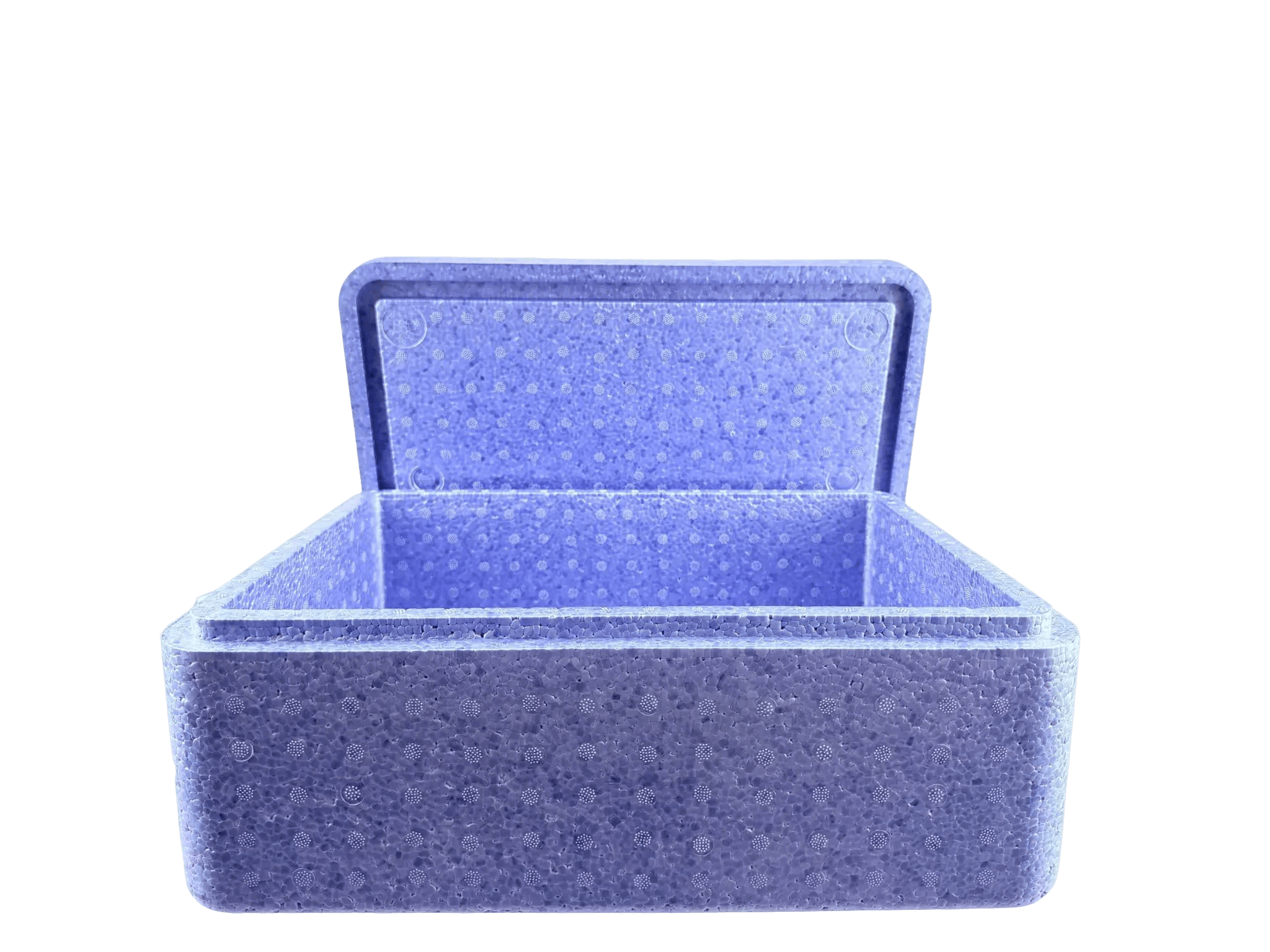 Customizable Lightweight EPP Foam Box (2025) - tempk