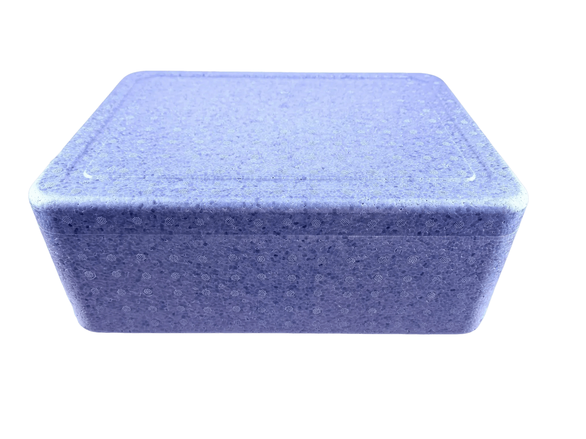 Chemikalienbeständige EPP-Box für die Kühlkette - Tempk